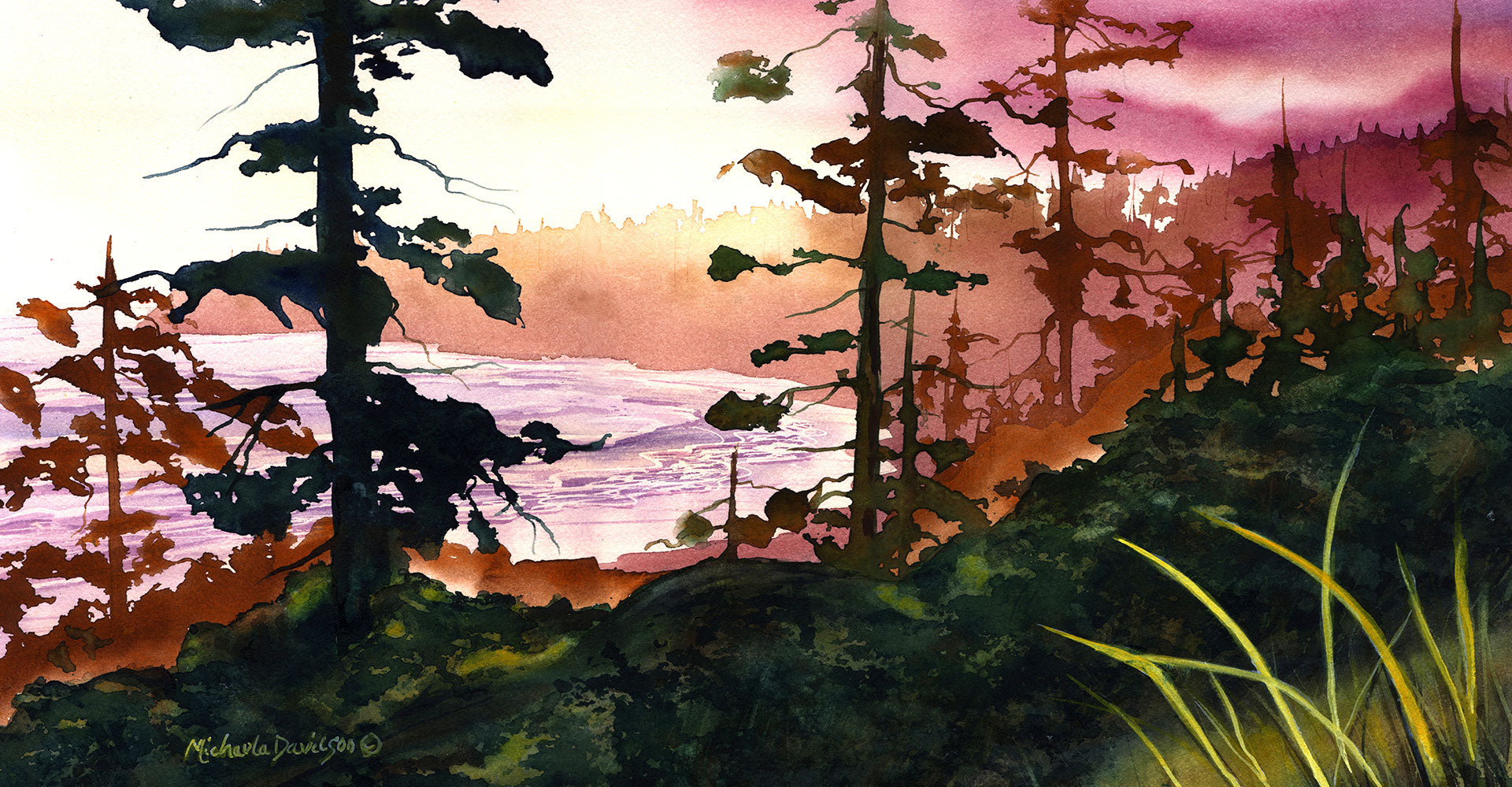 Framed Canvas Prints – Michaela Davidson Art